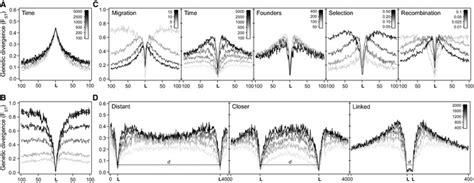 Molecular Signatures Of Parallel Adaptation From Shared Genetic