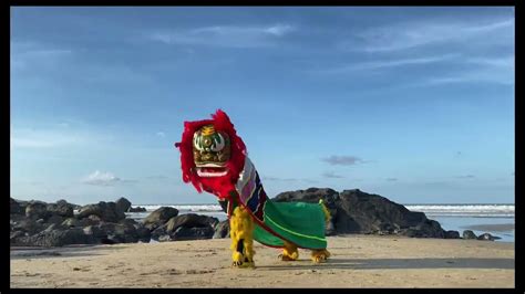 客家金狮王与南狮 🎥 伦乐和顺班 倫樂和順金師隊 Lundu Foshun Hakka Lion Dance Youtube