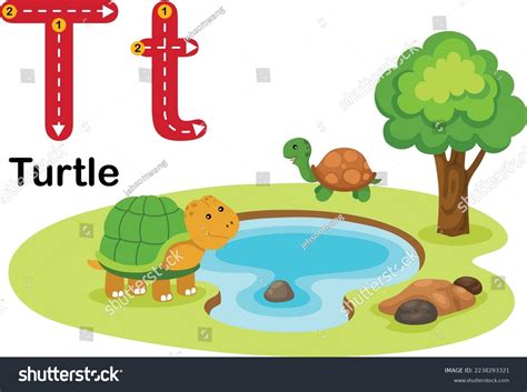 alphabet letter tturtle cartoon vocabulary illustration stock vector