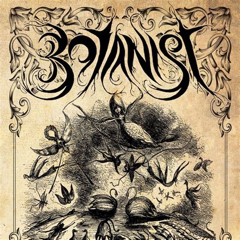 The Barnacle Tree Botanist Song Lyrics Music Videos And Concerts