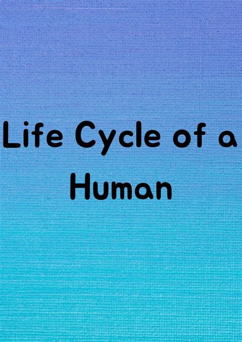 Life Cycle Of A Human Heading Picture