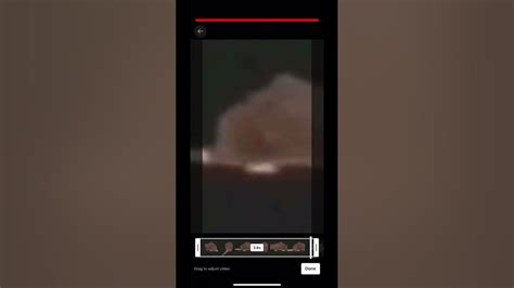 Rat Spinning With Doodlebob Noises Youtube