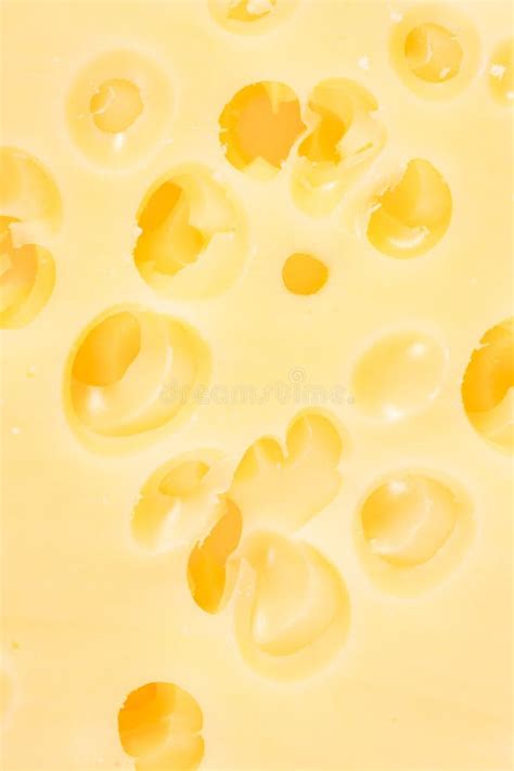 Cheese Stock Image Image Of Cheddar Emmental Chees 34456001