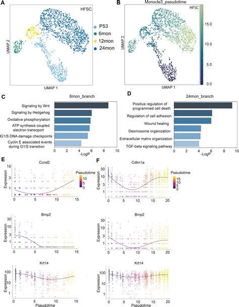 Frontiers Single Cell Analysis Of Transcriptome And Open Chromatin