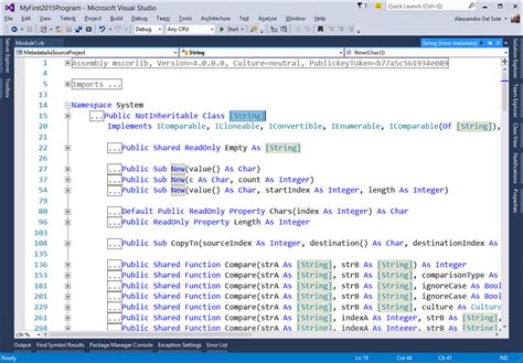 Inspecting Built In Types Visual Basic 2015 Unleashed Book