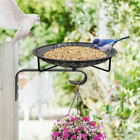 Cqairiou Wall Mounted Bird Feeder Tray 11 8 Stainless Steel Large