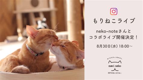 8月30日1800〜もりねこ初の緊急ライブ開催！neko Noteさんとコラボライブ開催します！ 20230830 もりねこre