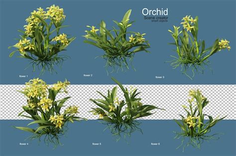 Premium Psd 3d Render Orchids And Plants