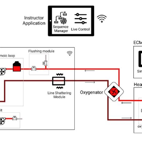 Overview Of The Ecmo Simulation System Download Scientific Diagram