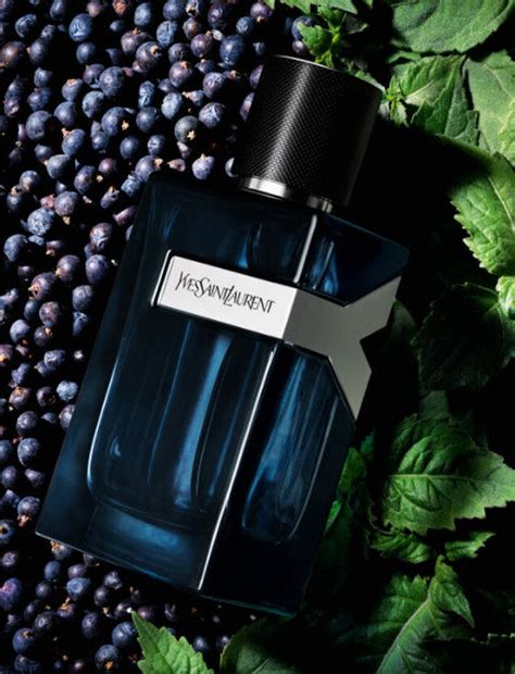 Y Eau De Parfum Intense Koleksi Parfum Pria Ysl Beauty Indonesia