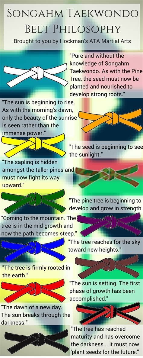 Karate Belt System Colors At James Kettler Blog