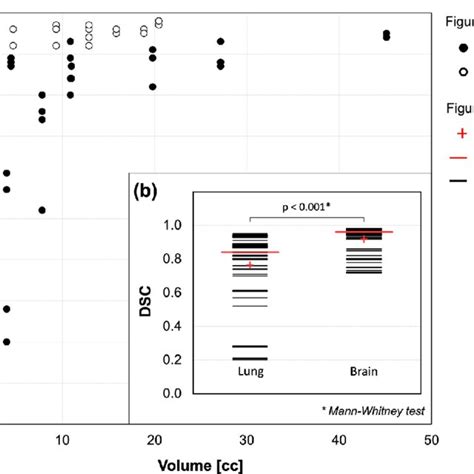 Graphical A And Statistical B Representation Of The Relation