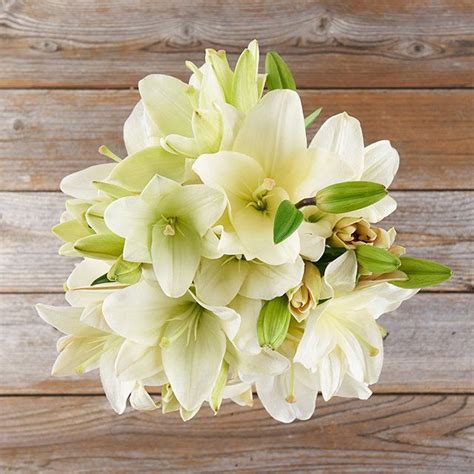 White Asiatic Lily Flowers The Bouqs Co Easter Lily Wedding