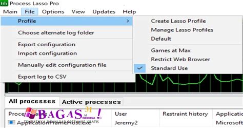 Bitsum Process Lasso Pro 160210 Full Download Bagas31
