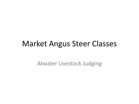 Ppt Angus Steer Livestock Judging Classes Overview Powerpoint
