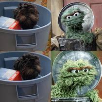My Boy Was Busted Just Chillin In The Garbage Can And It Made Me