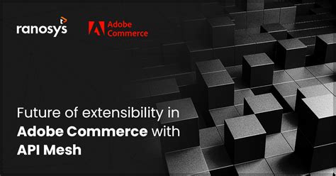 How To Deliver Personalized Shopping Experiences With Adobe Api Mesh
