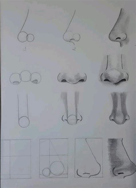 How To Draw A Nose From The Front 7 Easy Steps Artofit