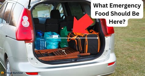 Best Emergency Food For Vehicles At Phoebe Reddall Blog