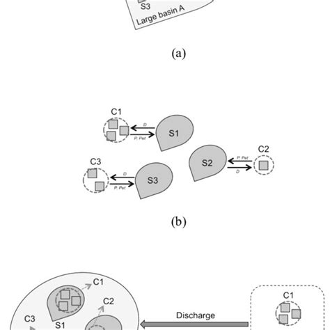 Schematic Illustration Of The Scale Extrapolation Method A An Download Scientific Diagram