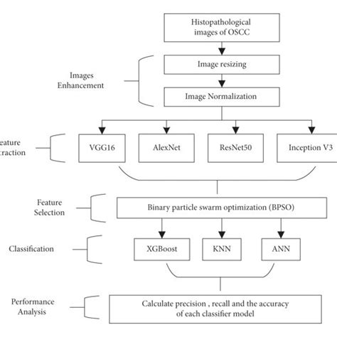Schematic Illustration Of Resnet50 Architecture Download Scientific