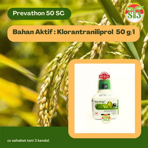 Jual Insektisida Prevathon 50sc 250ml Insektisida Sistemik
