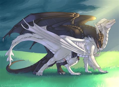 Rule 34 Claws Dragon Duo Female Feral Feral On Feral Male Outside