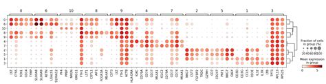 Differential Gene Expression
