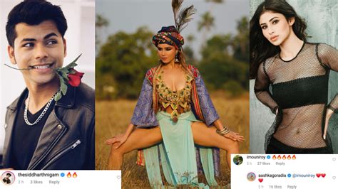 Aashka Goradia Sets Internet On Fire With Latest Hot Photo Siddharth Nigam And Mouni Roy Feel