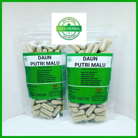 Herbal Daun Putri Malu Isi 100 Kapsul Lazada Indonesia