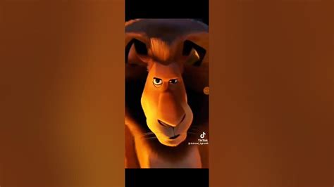 Simba Vs Alex Youtube