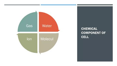 1 Cell Structure 2021 Pdf