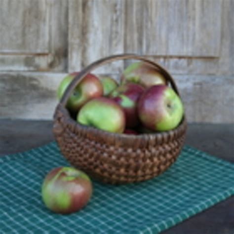 Jld Teaching Resources Teachers Pay Teachers