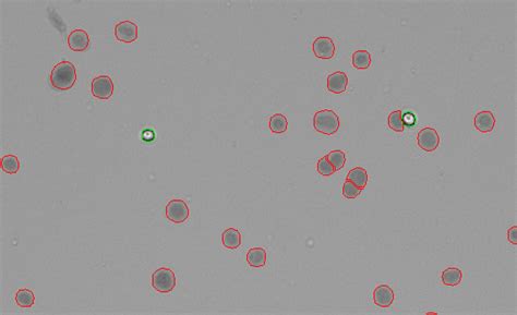 Counting Isolated Nuclei
