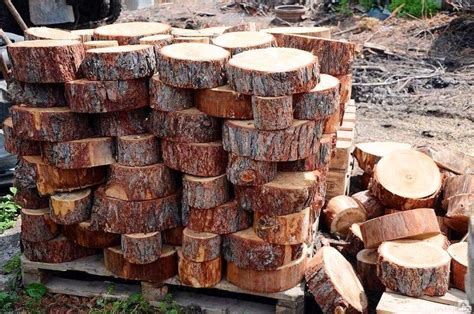 Пенек лиственницы купить от 70 до 110 руб./шт. в Москве от компании ООО ...