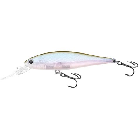 Lucky Craft Pointer 78dd Aurora Ghost Wakasagi Angelladen Für Profis Kl Angelsport