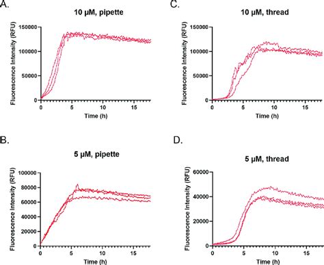 Synthetic Ageld187n 173 242 Aggregation Assay Optimization Amyloid