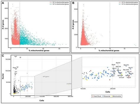Evaluation Of Read Distribution After Scrnaseq And Snrnaseq Download Scientific Diagram
