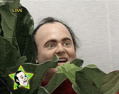 Tim And Eric Awesome Show Spagett