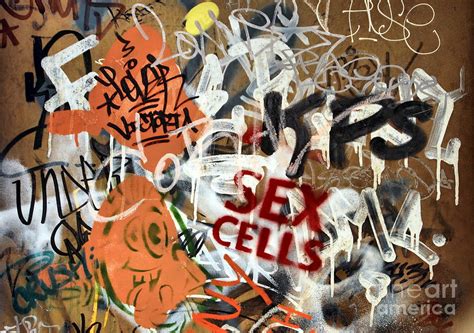 Sex Cells Street Art Photograph By Andrea Kollo Fine Art America