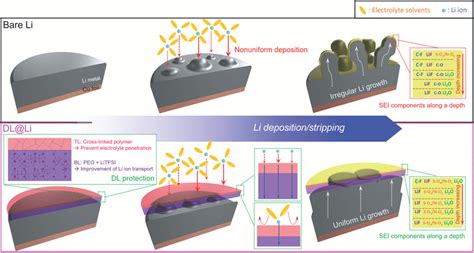 The Advantageous Effects Of Dlli On Supplying Uniform Li Ion Flux