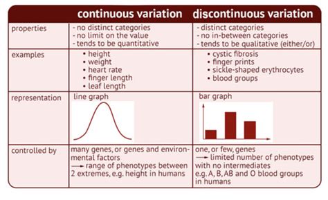 Variation And Evolution Flashcards Quizlet