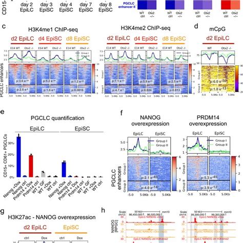 Chromatin Features Of Pgclc Enhancers In Esc Epilc And Episc A
