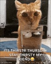 Thirsty Funny S Tenor