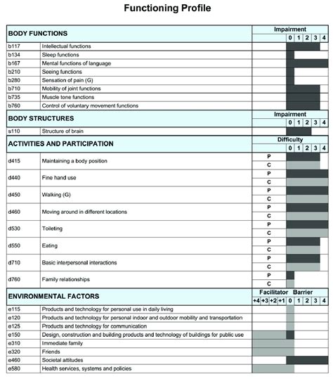 Functioning Profile Of The Sample The Icf Qualifiers Use To Create The