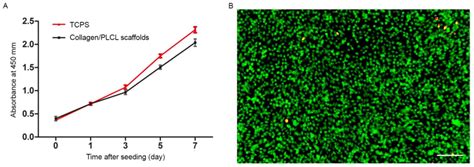 Electrospun Collagenpolyl Lactic Acid‑co‑ε‑caprolactone Scaffolds