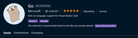 Visual Studio Code Go The Term Go Is Not Recognized As The Name