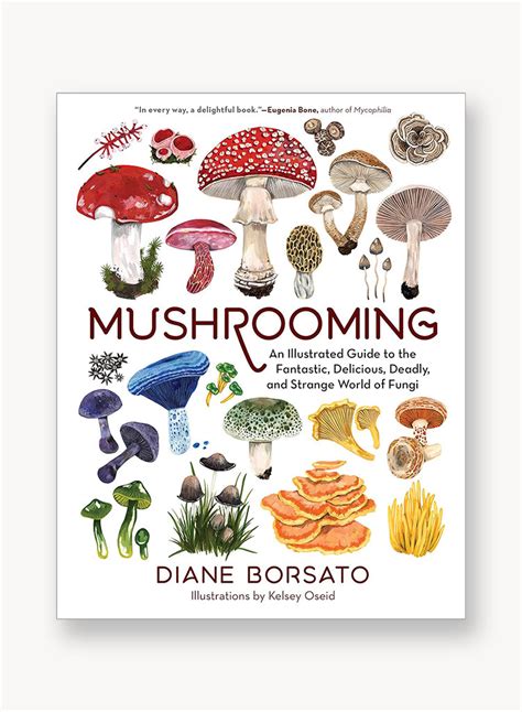 Fungus Identification Guide The Best Mushroom Identification Books Of
