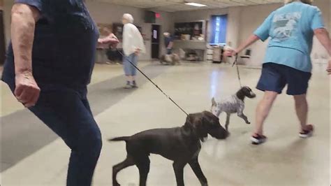 The Pointer Bros Billy And Cash At Handling Class Youtube