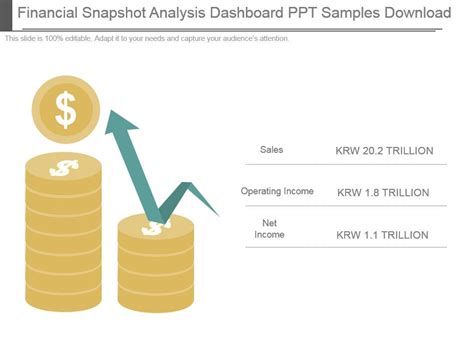Financial Snapshot Analysis Dashboard Ppt Samples Download